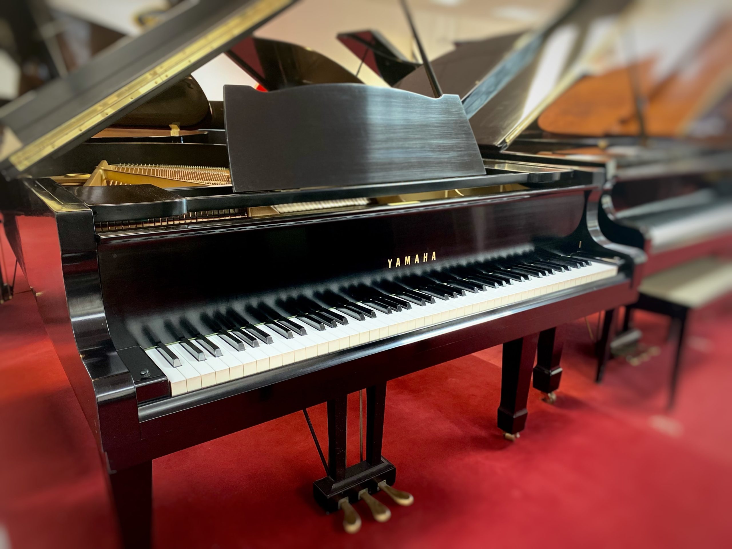 Forte Piano Music Company | Paramus, NJ | Pre-Owned Pianos